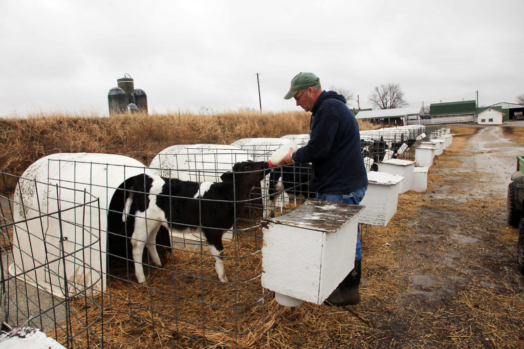 Flory dairy farm selling equipment, taking on different work after 60 ...